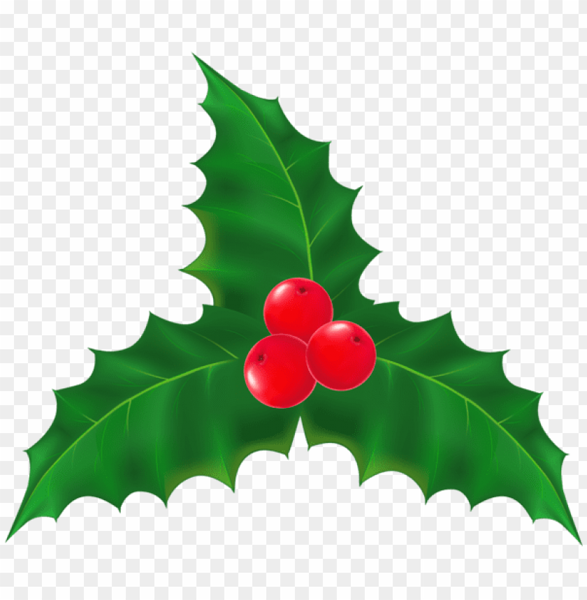 Free download | HD PNG christmas mistletoe transparent PNG Images 40985 ...