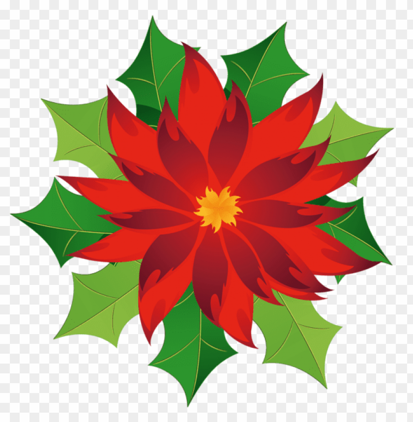 Free download | HD PNG christmas poinsettia PNG Images 40044 | TOPpng