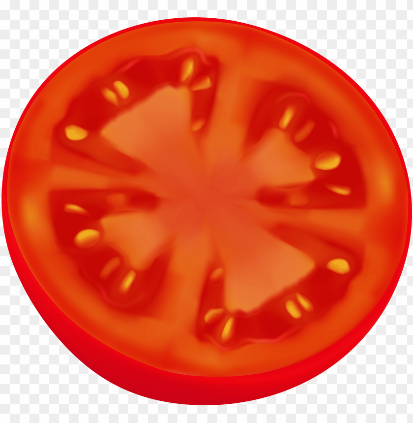 Free download | HD PNG circle sliced tomato image PNG transparent with ...