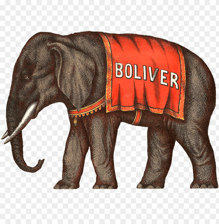 Free download | HD PNG circus PNG transparent with Clear Background ID ...