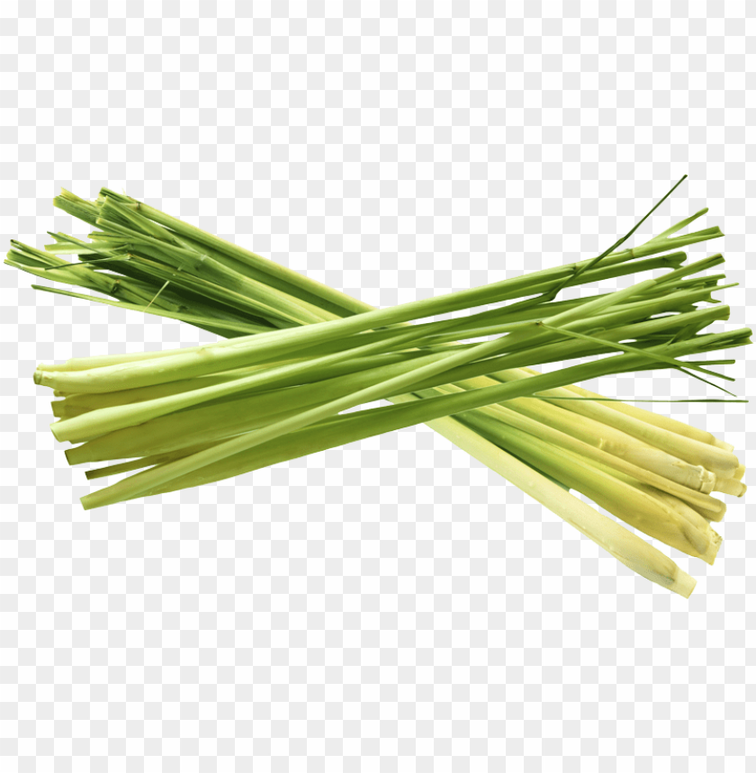 Free download | HD PNG citronella PNG transparent with Clear Background ...