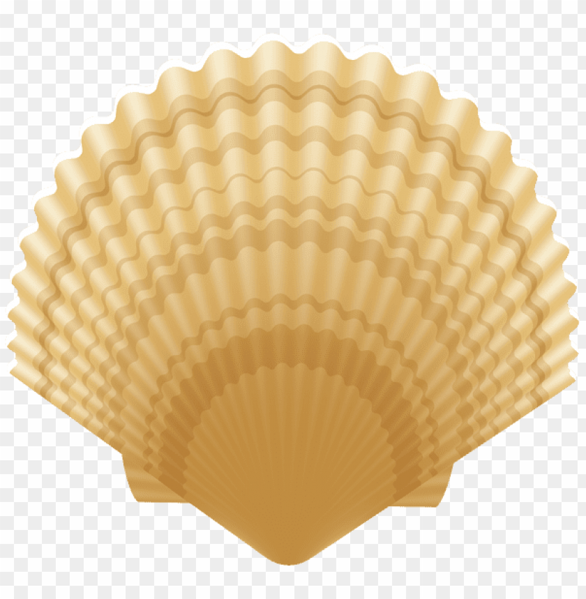Free download | HD PNG clam shell clipart png photo - 56305 | TOPpng