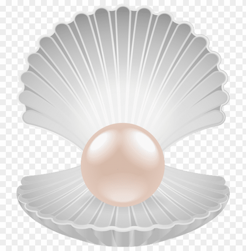 Free download | HD PNG clam with pearl transparent clipart png photo ...