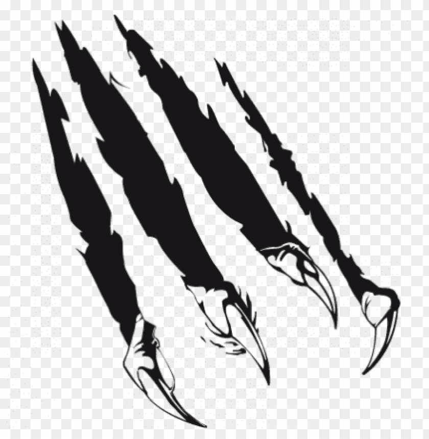 Claw Marks Black Background