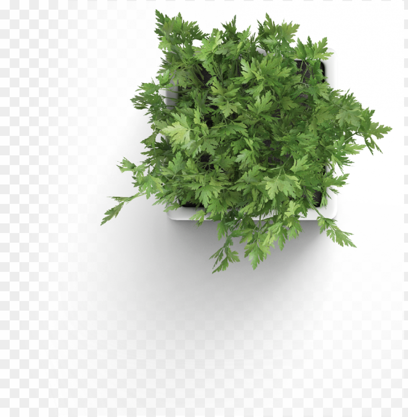 Diesel Word cutout PNG & clipart images | TOPpng