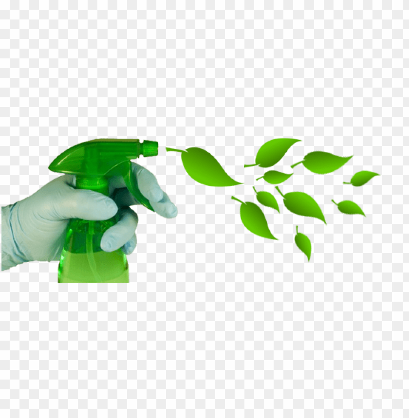 Free download | HD PNG cleaning png PNG transparent with Clear ...
