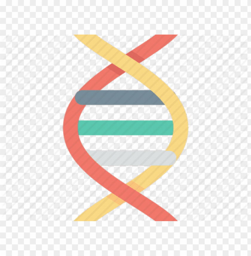 Free download | HD PNG clipart dna helix PNG transparent with Clear ...