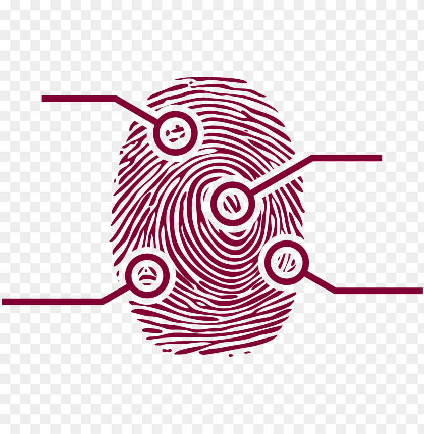 Free download | HD PNG clipart fingerprint fingerprint clip art PNG ...