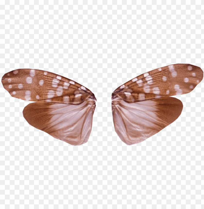 Free download | HD PNG clipart free stock wings with transparency png ...