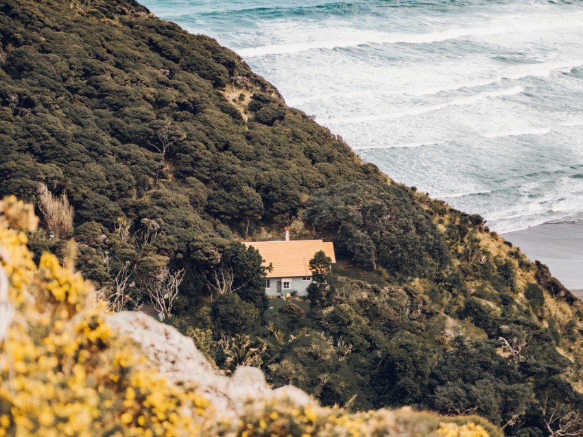 Free download | HD PNG coast house aerial view sea hill forest 4k ...
