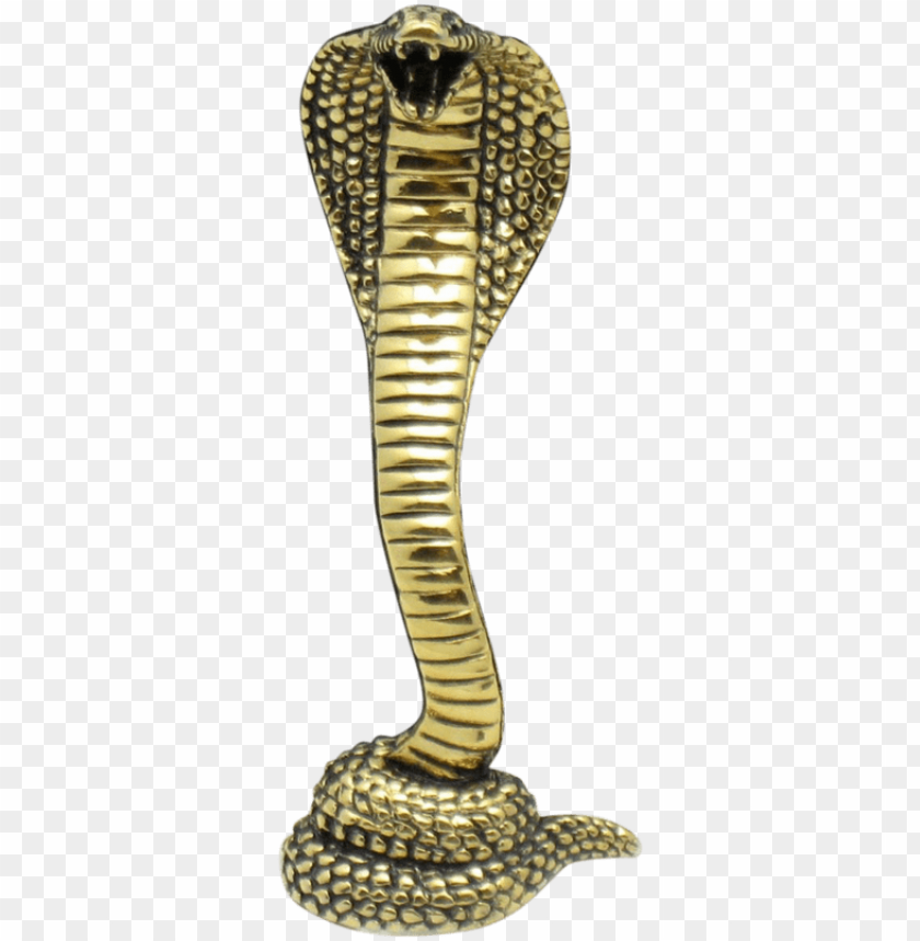 Free download | HD PNG cobra snake PNG transparent with Clear ...