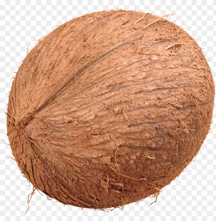 Free download | HD PNG coconut PNG images with transparent backgrounds ...