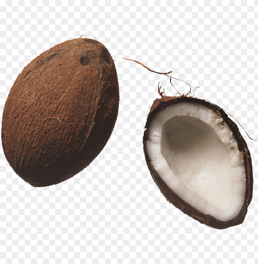 Free download | HD PNG coconut PNG images with transparent backgrounds ...