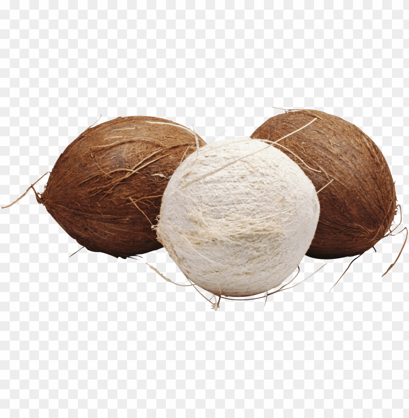 Free download | HD PNG coconut PNG images with transparent backgrounds ...