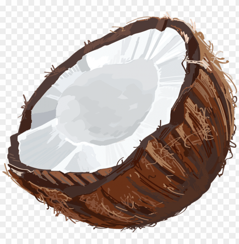 Free download | HD PNG coconut png - Free PNG Images ID 51710 | TOPpng