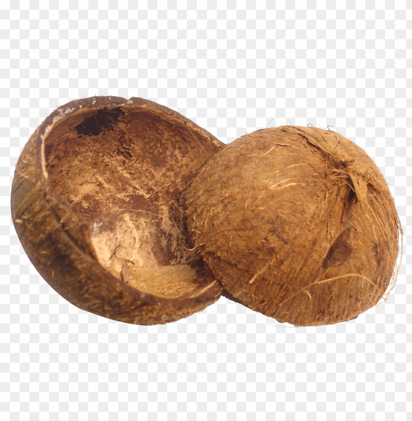 Free download | HD PNG coconut shell PNG images with transparent ...