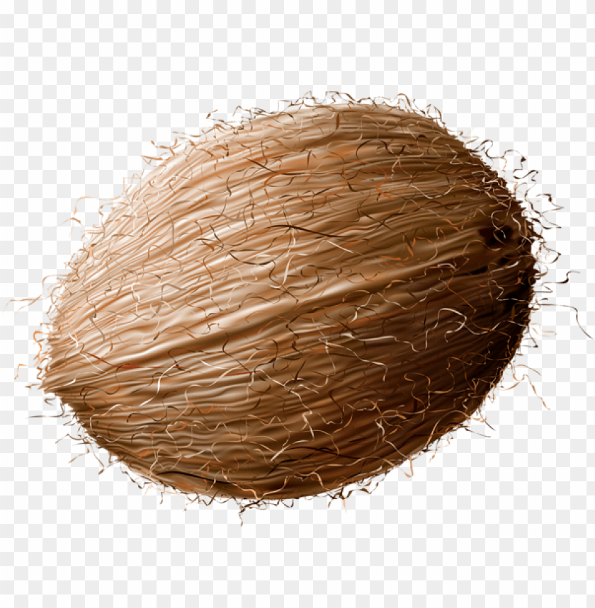 Free download | HD PNG natural brown coconut shell | TOPpng