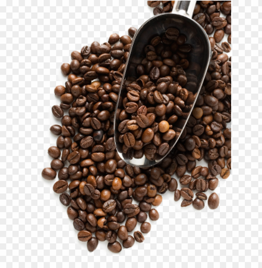 Free download | HD PNG coffee beans with scoop - Image ID 483566 | TOPpng
