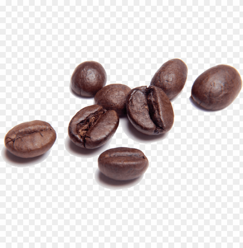 Free download | HD PNG coffee beans free download png bru coffee in cu ...