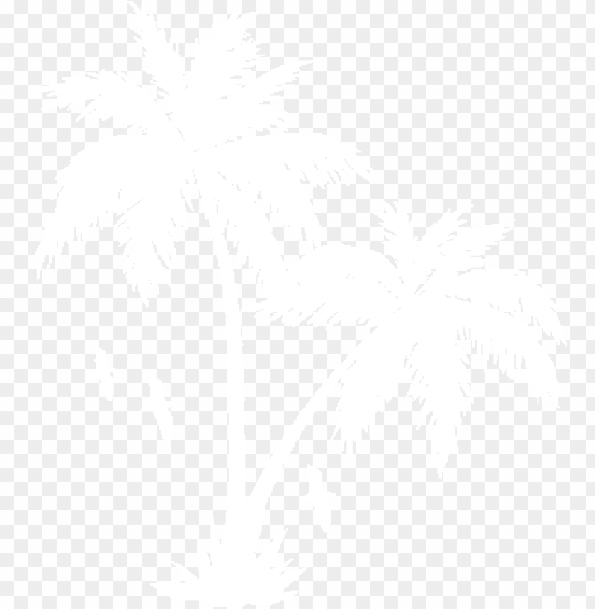 Free download | HD PNG collection of free transparent white palm tree ...
