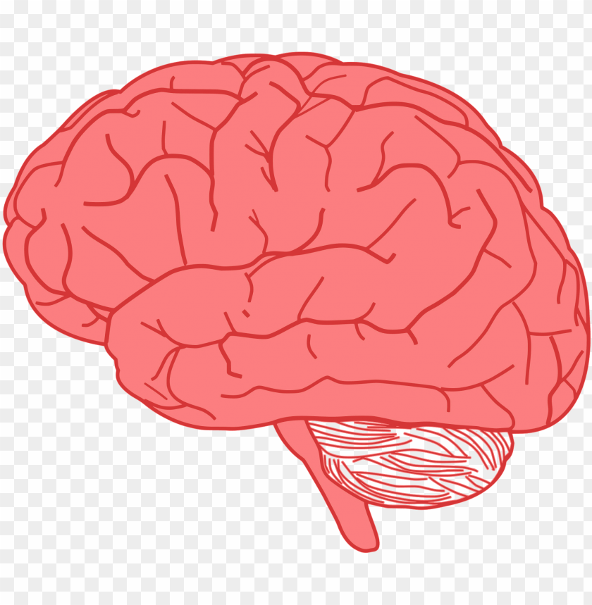 Free download | HD PNG collection of transparent background high ...