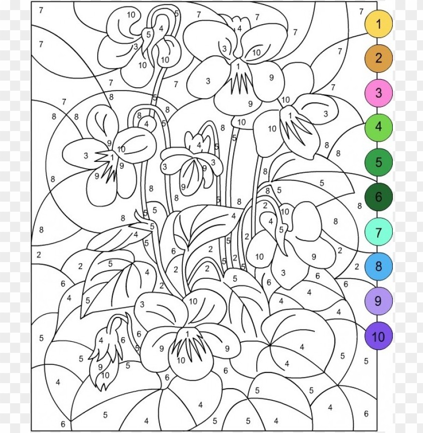 Free download | HD PNG color by number coloring pages for adults PNG ...