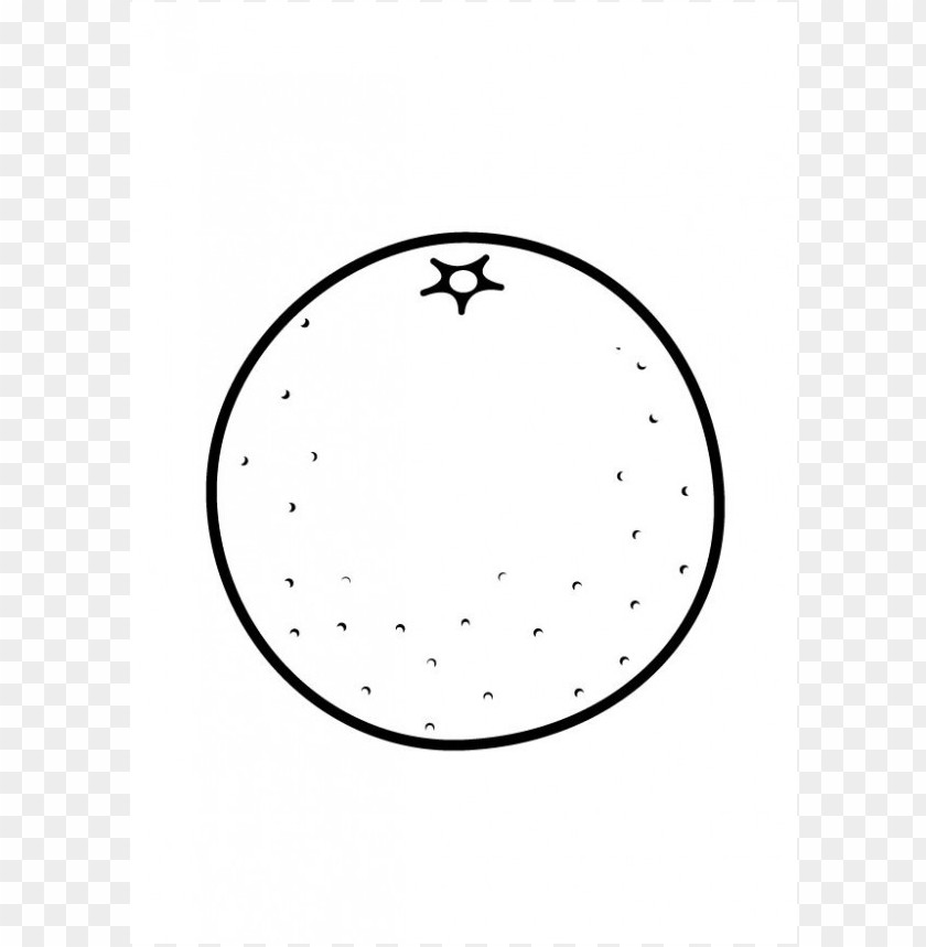 Free download | HD PNG color orange coloring page PNG transparent with ...