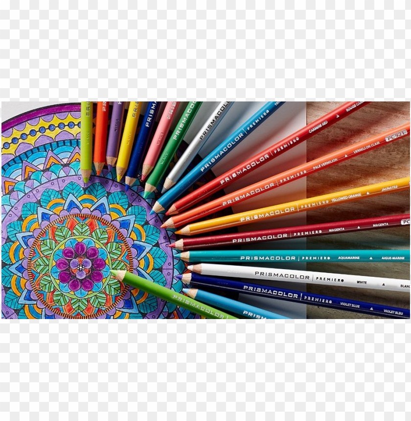 Free download | HD PNG colored pencil coloring pages PNG transparent ...