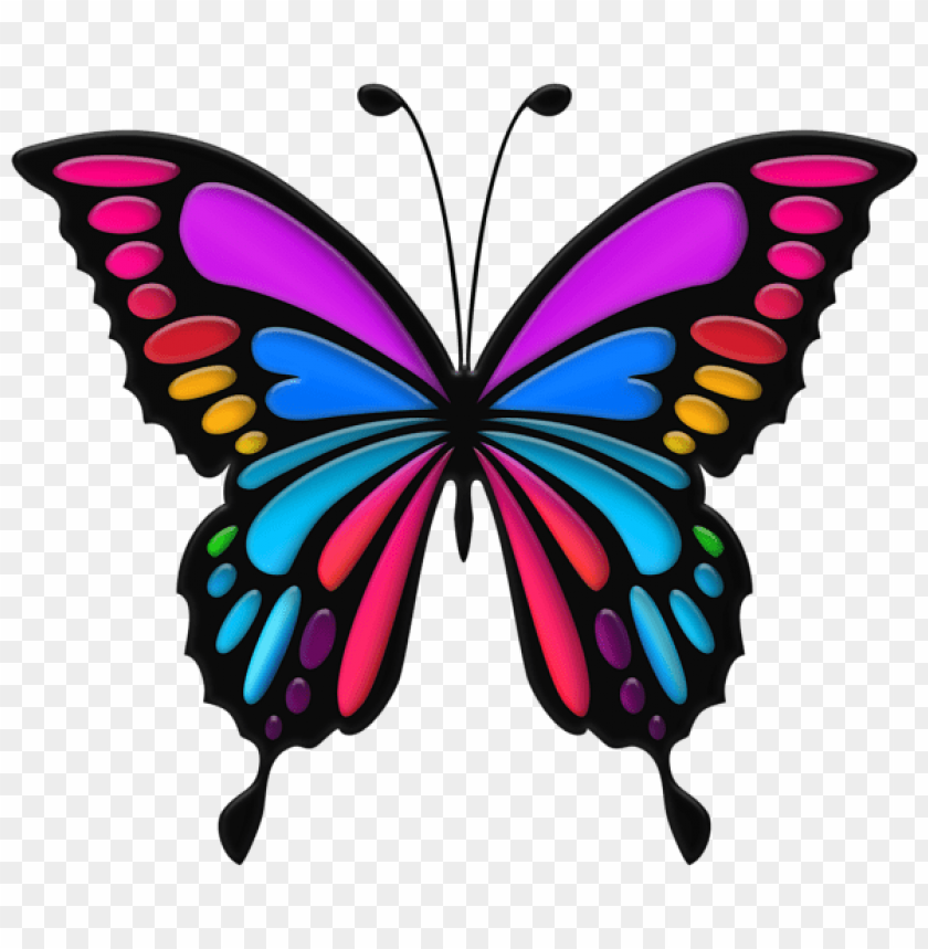 Free download | HD PNG colorful butterfly clipart png photo - 49104 ...