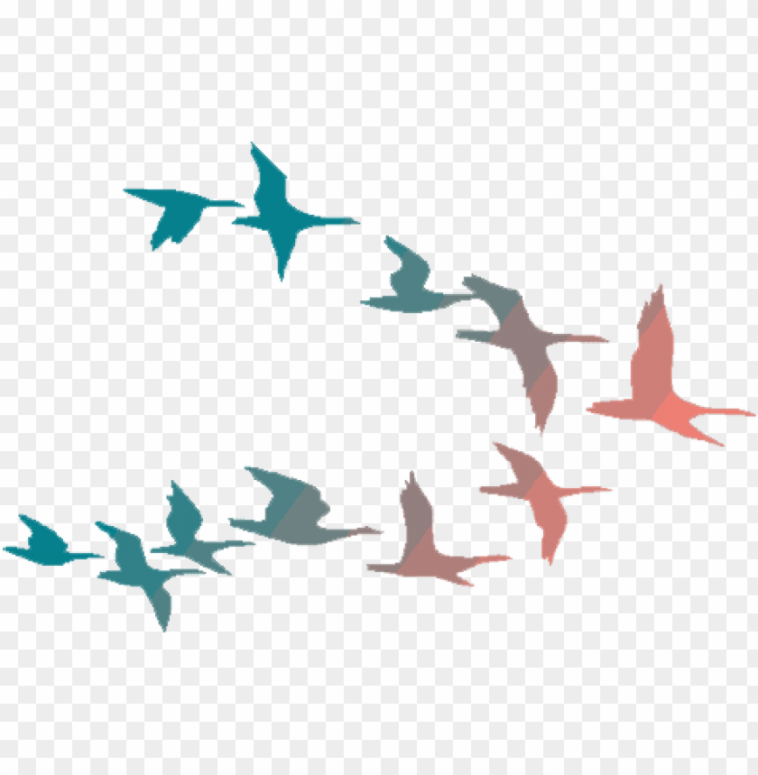 Free download | HD PNG flying birds pastel colors PNG transparent with ...