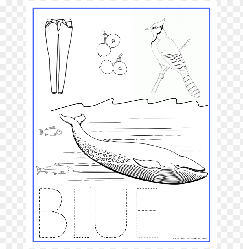 Free download | HD PNG coloring printables for the blue color PNG ...