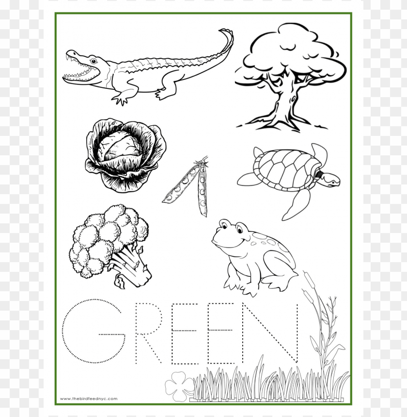 Free download | HD PNG colors coloring pages things PNG transparent ...