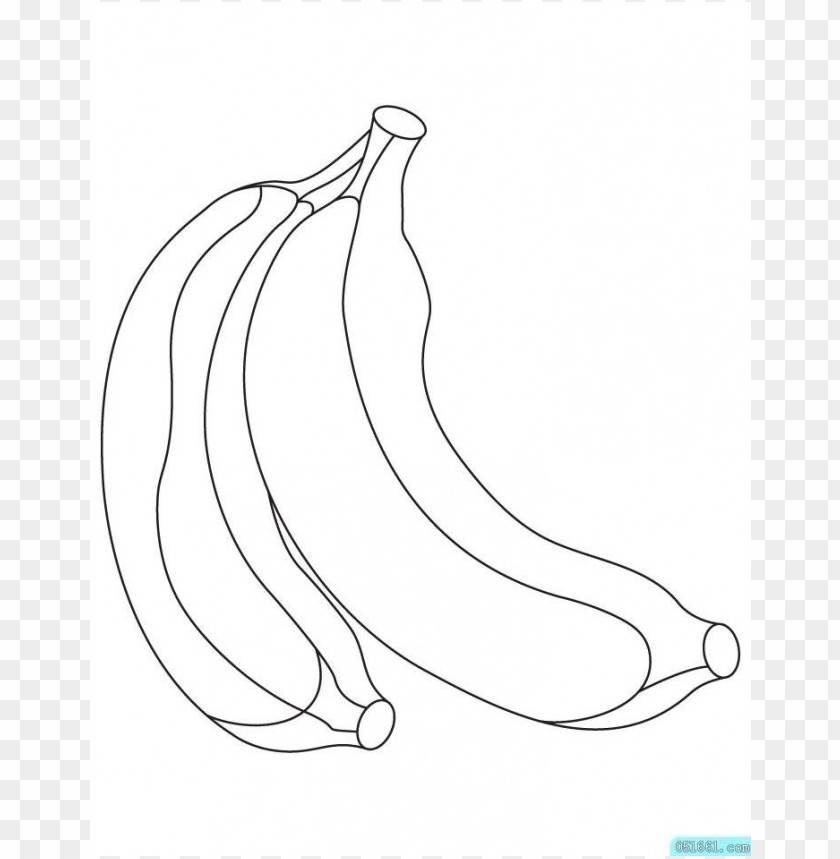 Free download | HD PNG colors coloring pages things PNG transparent ...