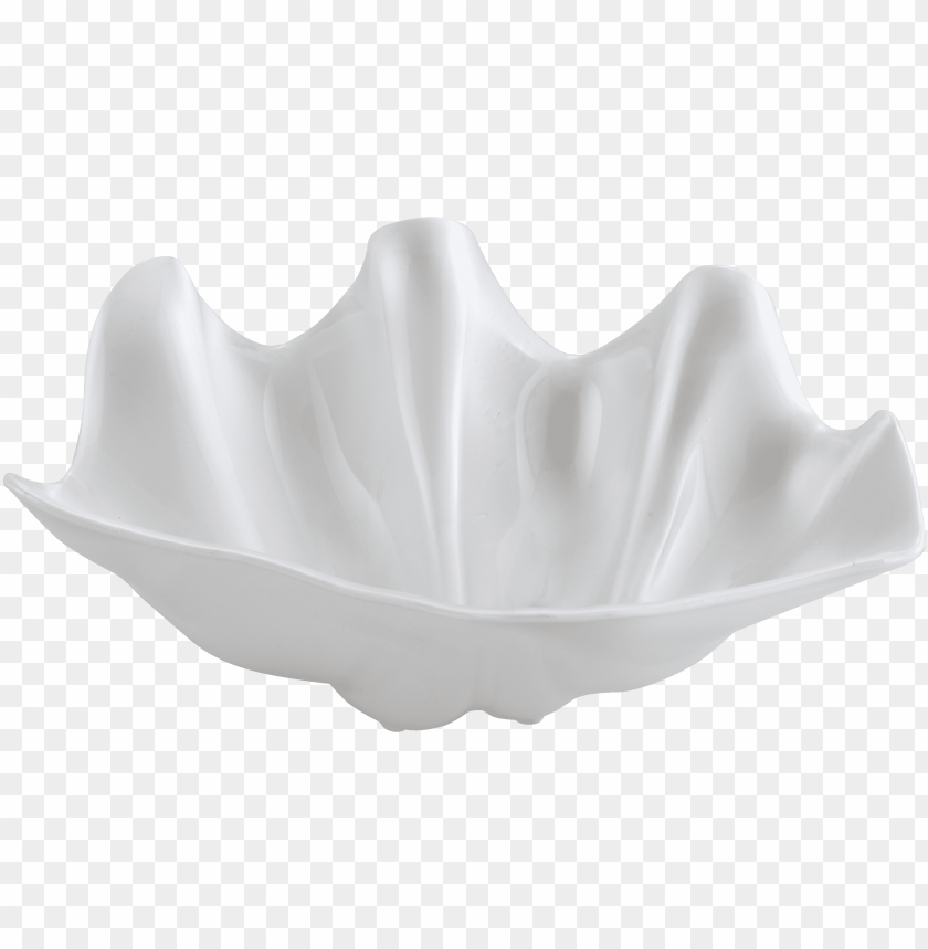 Free download | HD PNG white conch shell illustration clipart png photo ...