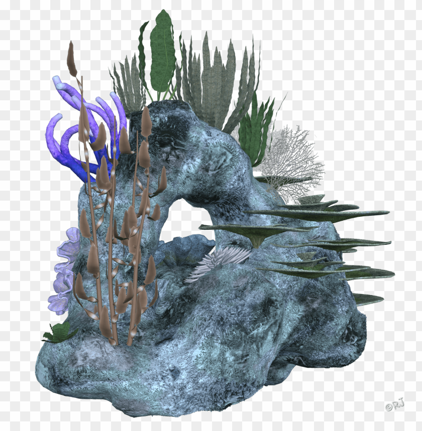 Free download | HD PNG corals png PNG transparent with Clear Background ...