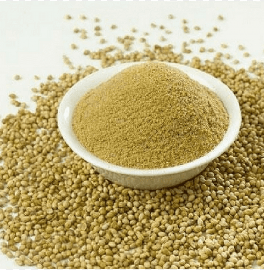 Free download | HD PNG coriander powder PNG transparent with Clear ...