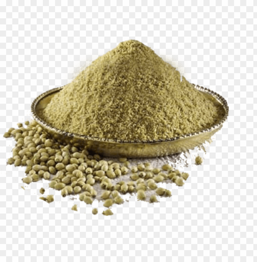 Free download | HD PNG coriander powder PNG transparent with Clear ...
