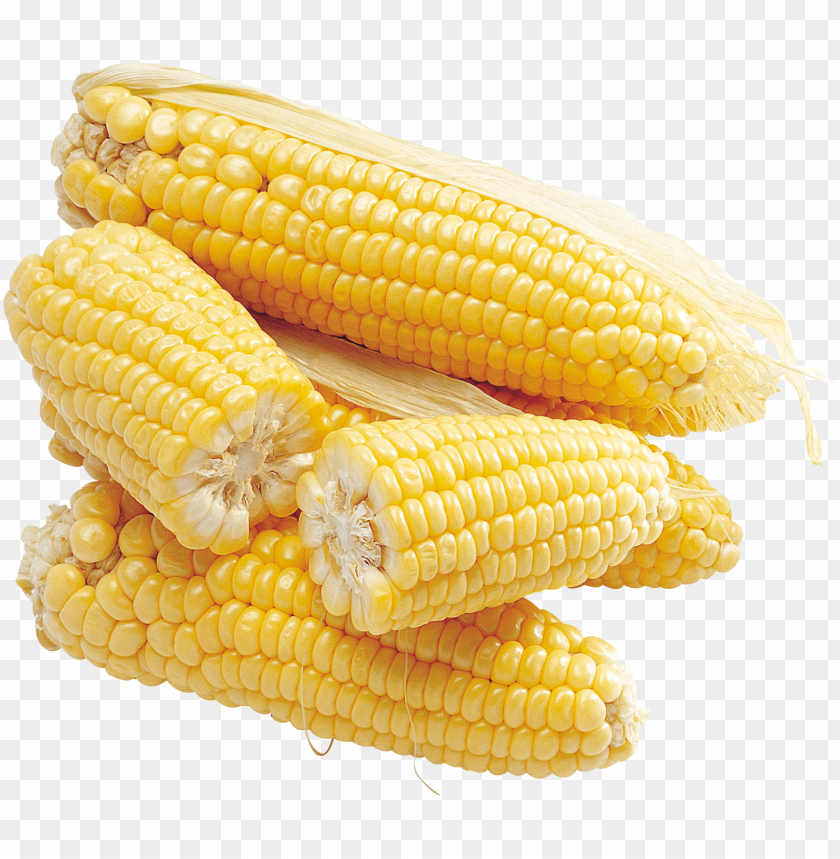 Free download | HD PNG corn PNG images with transparent backgrounds ...