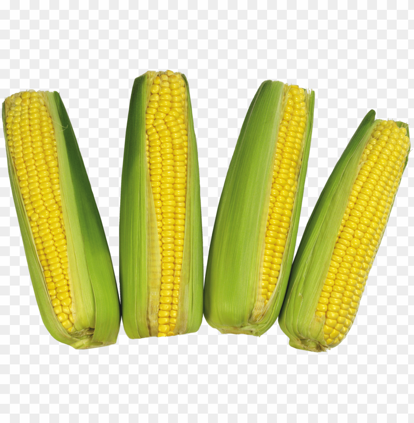 Free download | HD PNG stack of four fresh corn cobs png PNG images ...