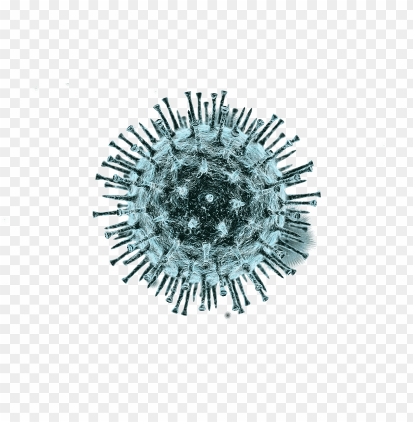 Free download | HD PNG coronavirus covid 19 PNG transparent with Clear ...