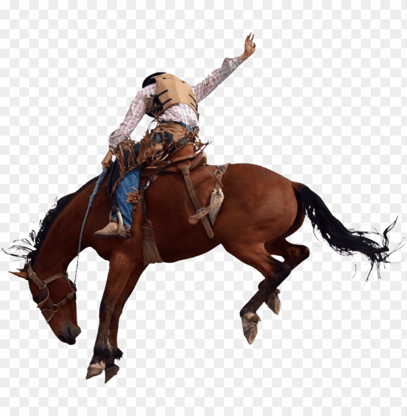 Free download | HD PNG Transparent background PNG image of cowboy ...