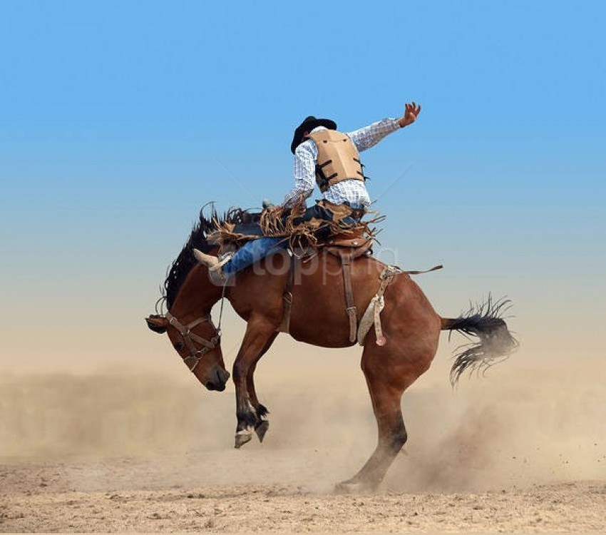 Free download | HD PNG energetic cowboy riding 4k wallpaper background ...