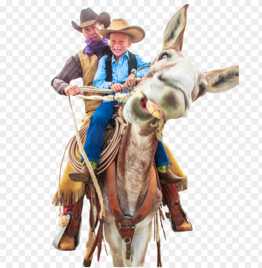 Free download | HD PNG Transparent background PNG image of cowboy ...