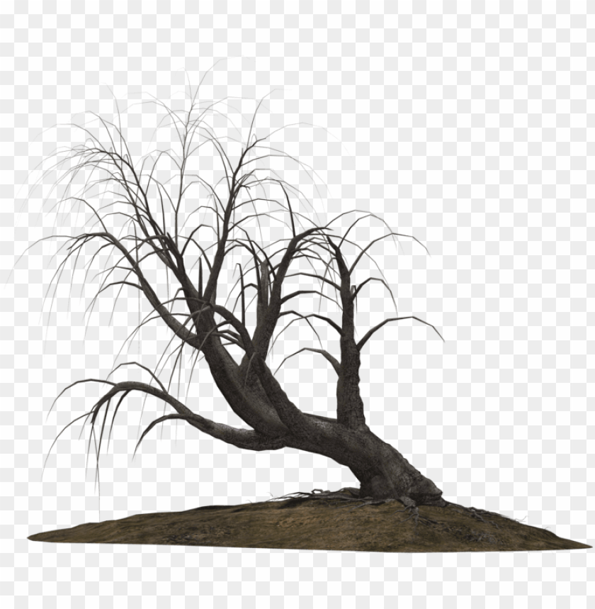 Free download | HD PNG creepy trees PNG transparent with Clear ...