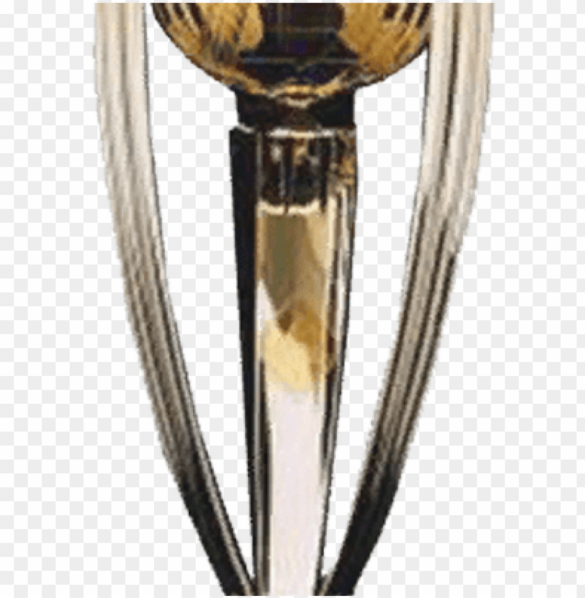 Free download | HD PNG cricket wc cricket world cup PNG transparent ...