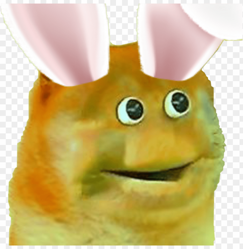 Free download | HD PNG cringe doge PNG transparent with Clear ...