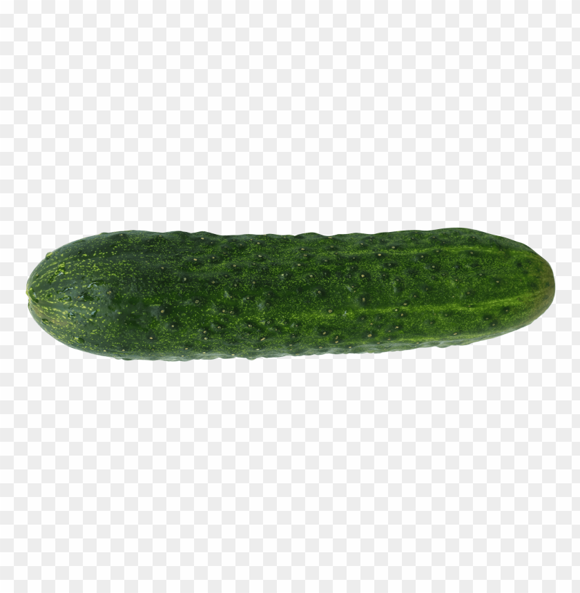 Free download | HD PNG cucumber PNG images with transparent backgrounds ...
