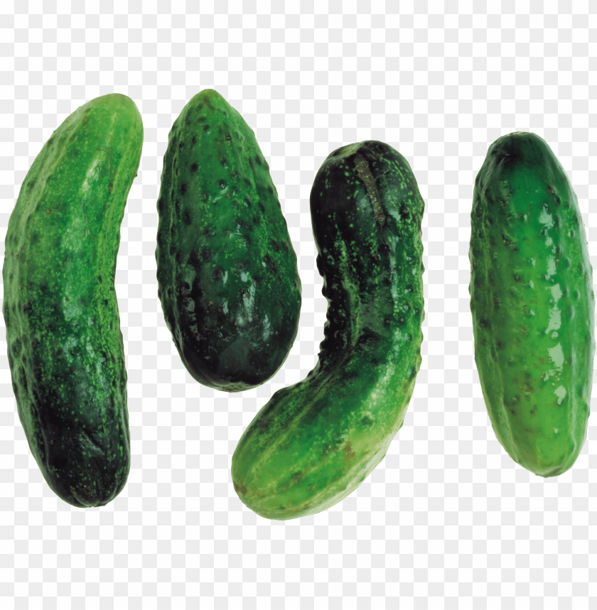Free download | HD PNG cucumber PNG images with transparent backgrounds ...