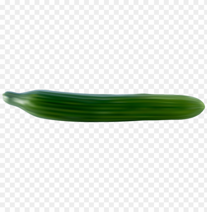 Free download | HD PNG Transparent cucumber with green stem transparent ...