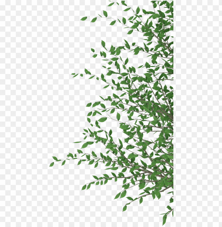 Free download | HD PNG cut out photoshop adobe photosho PNG transparent ...